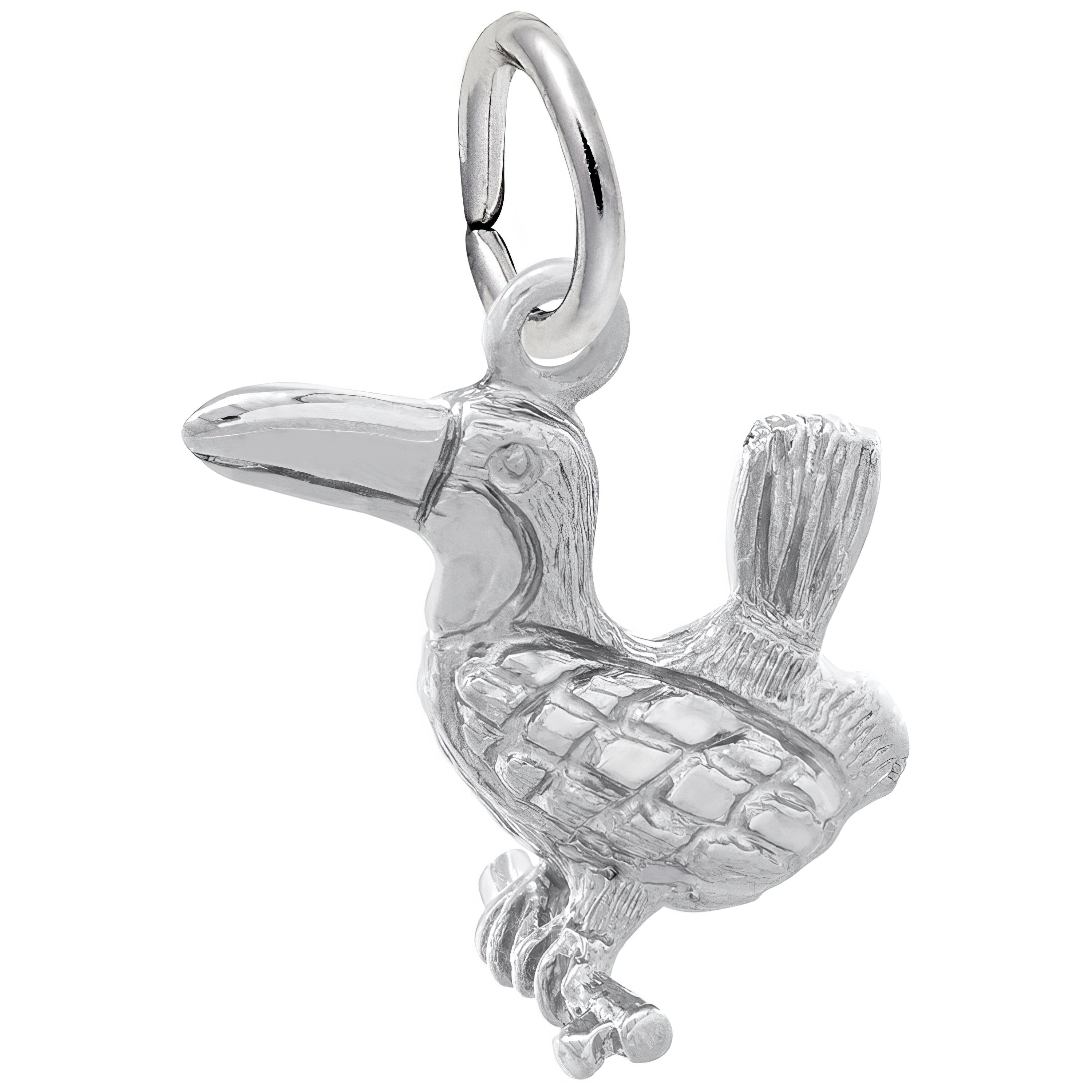 Sterling Silver Toucan Charm – FindingKing