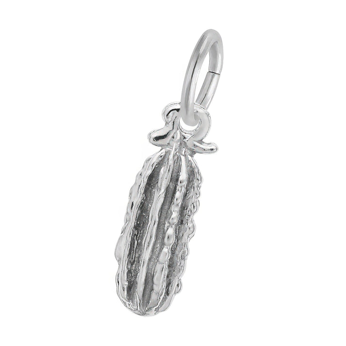 Pickle Charm - Metal - Sterling Silver – FindingKing