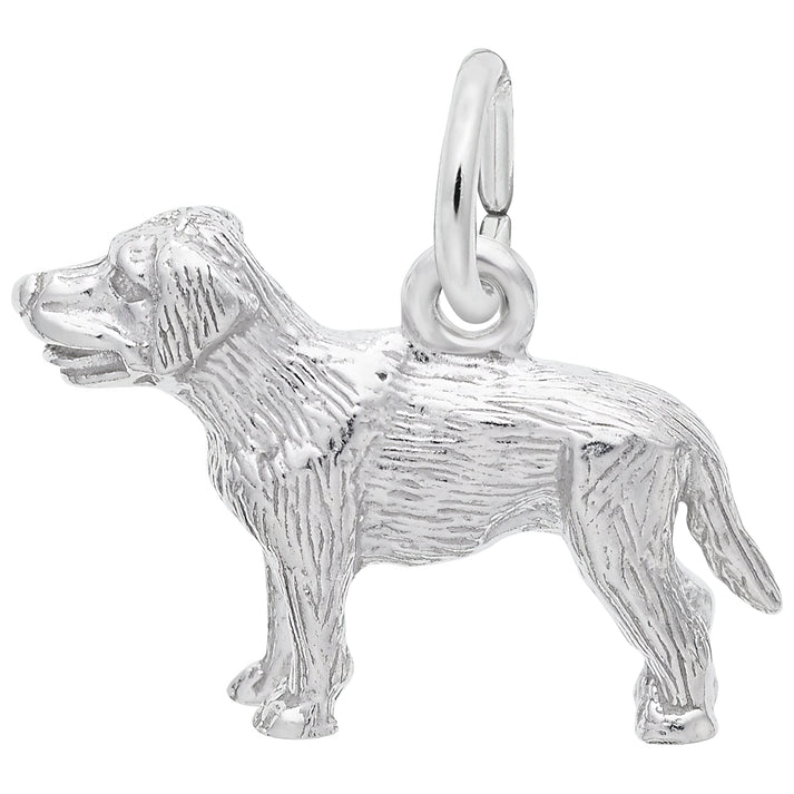Sterling Silver Small Labrador Retriever Dog Charm – FindingKing