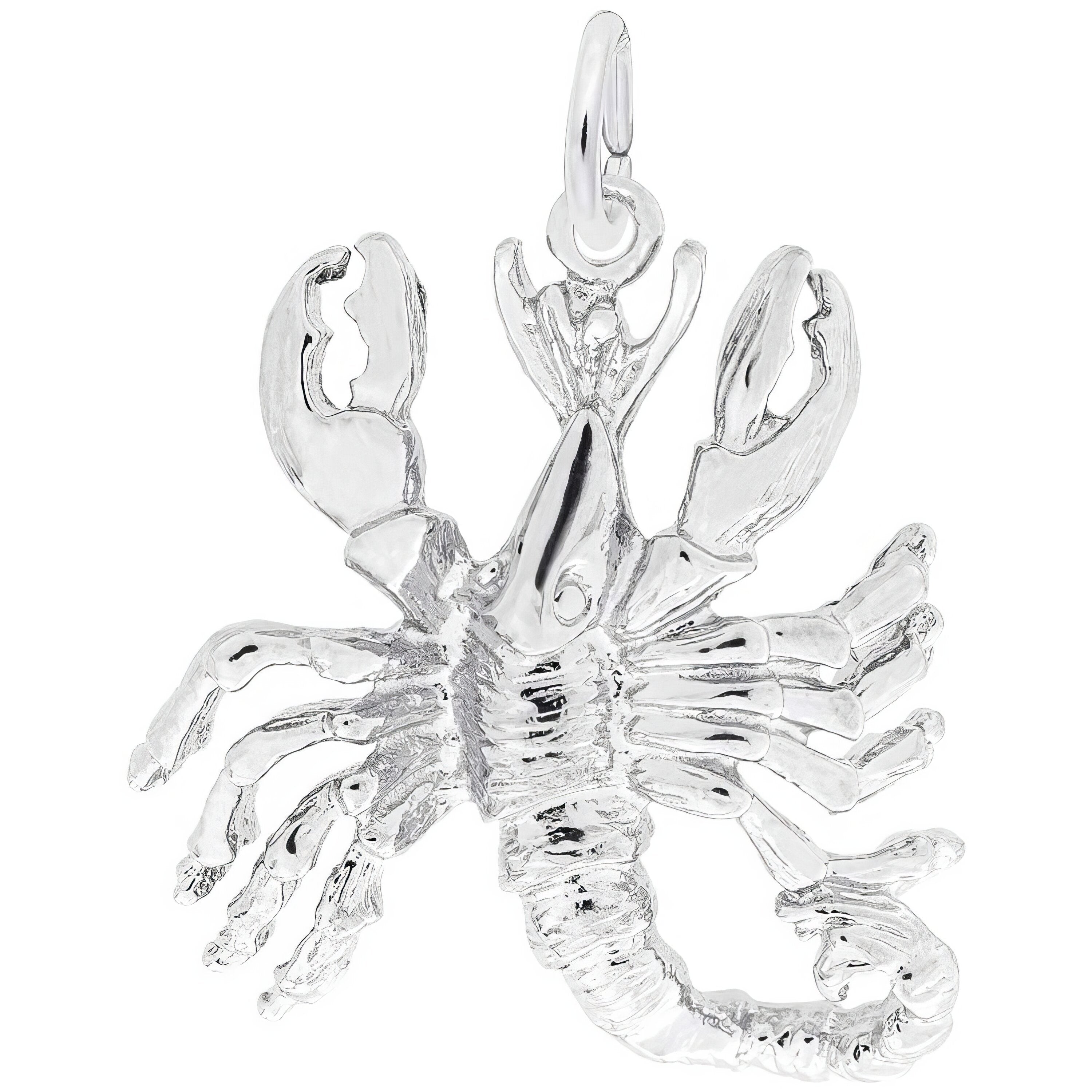 Scorpio Charm, Sterling Silver – FindingKing