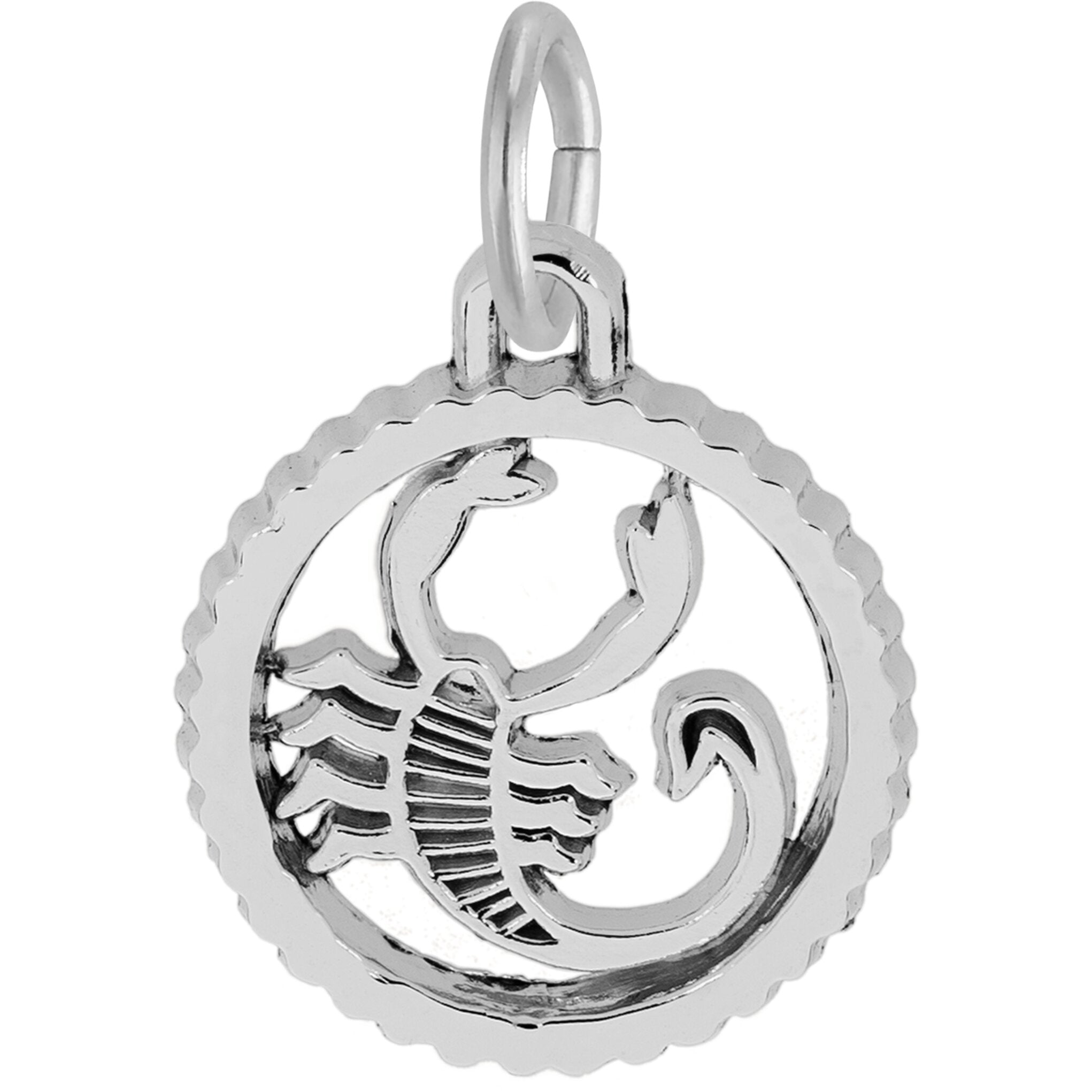 Scorpio Charm, Sterling Silver – FindingKing