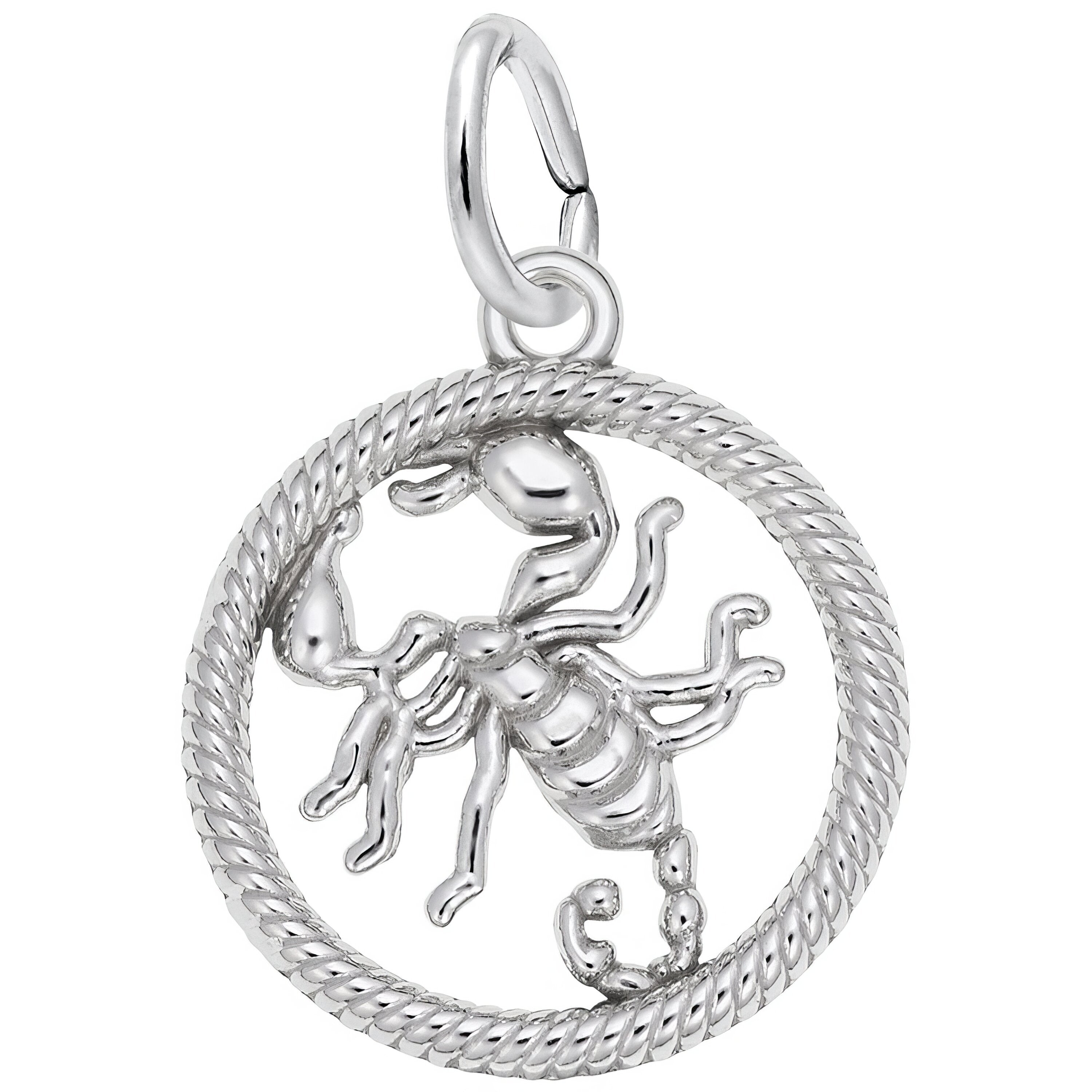 Sterling Silver Zodiac Scorpio Charm – FindingKing