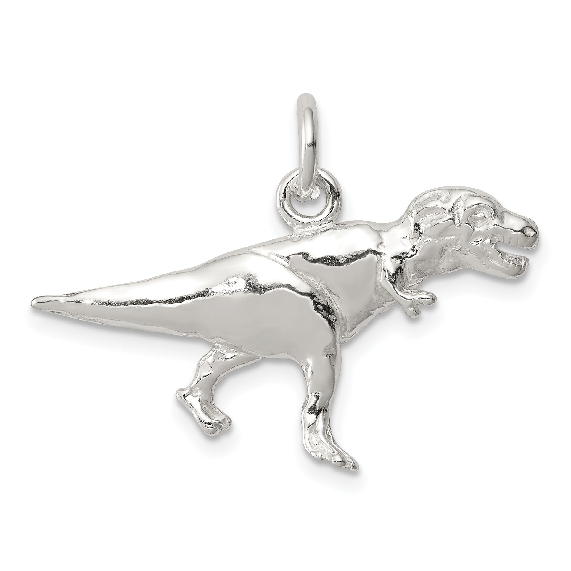Sterling Silver T-Rex Charm Pendant Dinosaur Jewelry – FindingKing